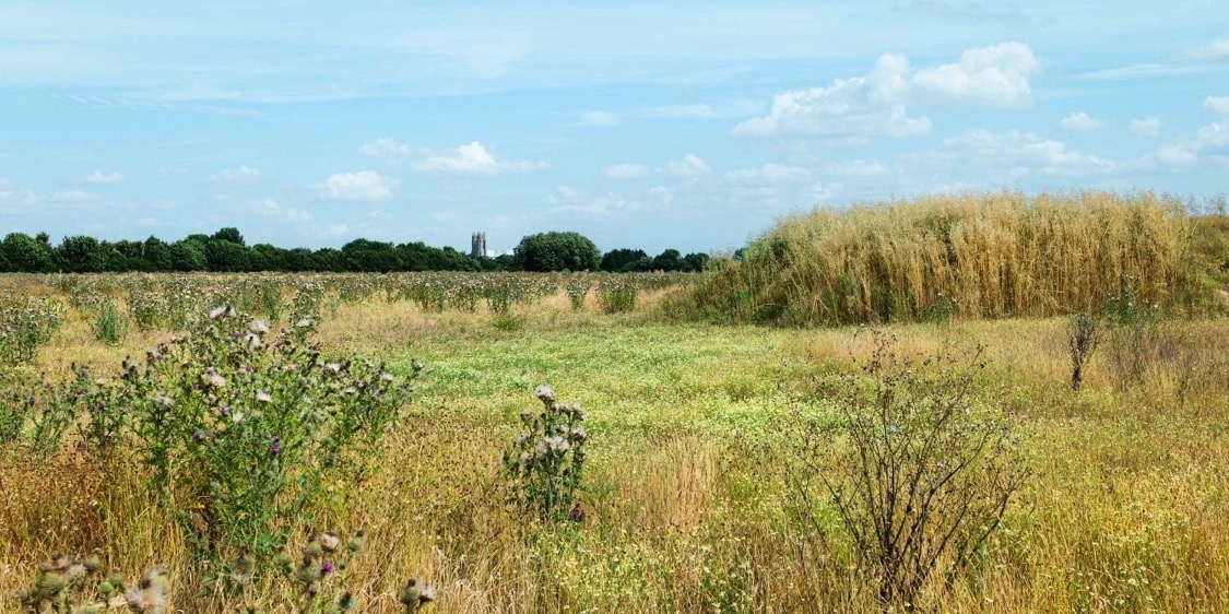 Environmental Consultant | Waste Permitting - Contact KB Environmental