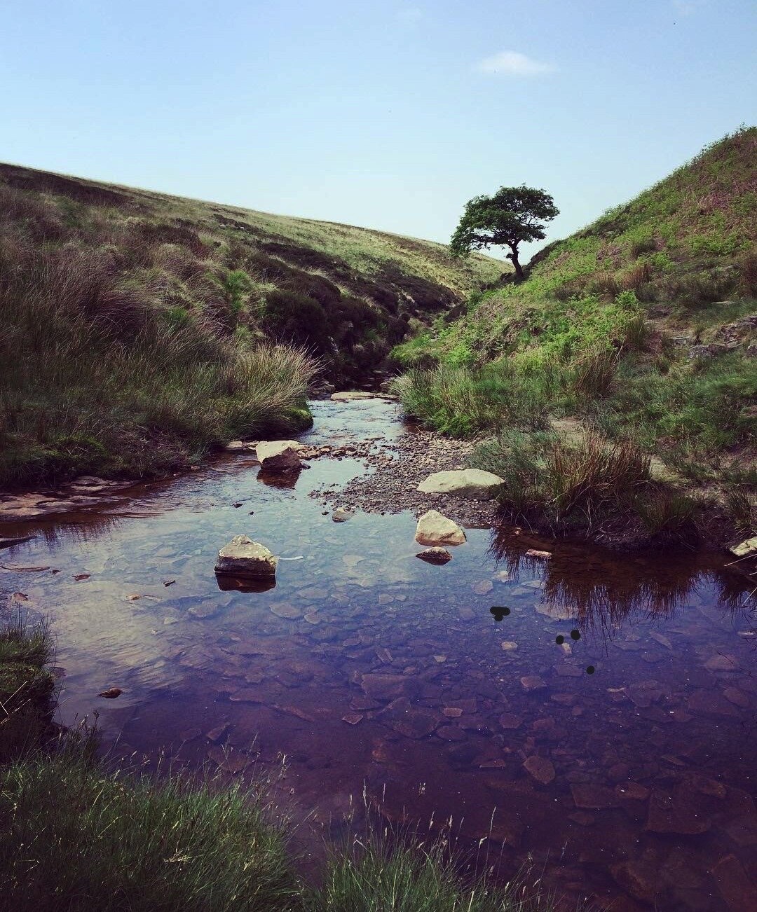 Environmental Risk & Impact Assessments | - KB Environmental